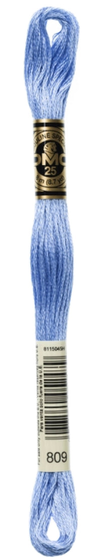 DMC Floss - 809 – Happy Little Stitch Shop